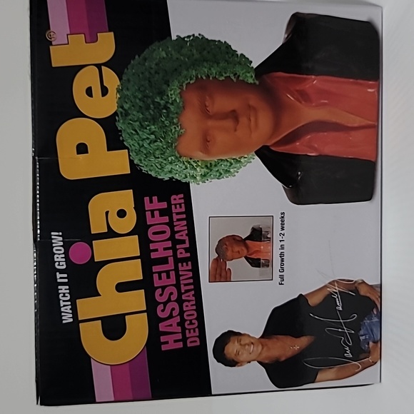 Chia Pet | Other | David Hasselhoff The Hoff Chia Pet | Poshmark
